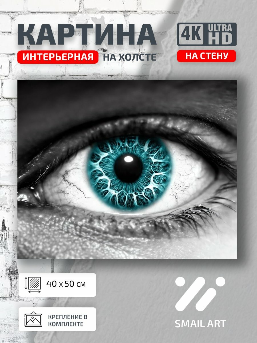 Картина на холсте интерьерная 40 на 50 на стену Зрачок Macro для спальни макро интерьер