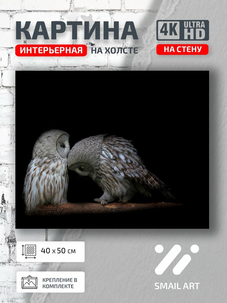Картина на холсте интерьерная 40 на 50 на стену Сов Mood для офиса атмосфера интерьер декор