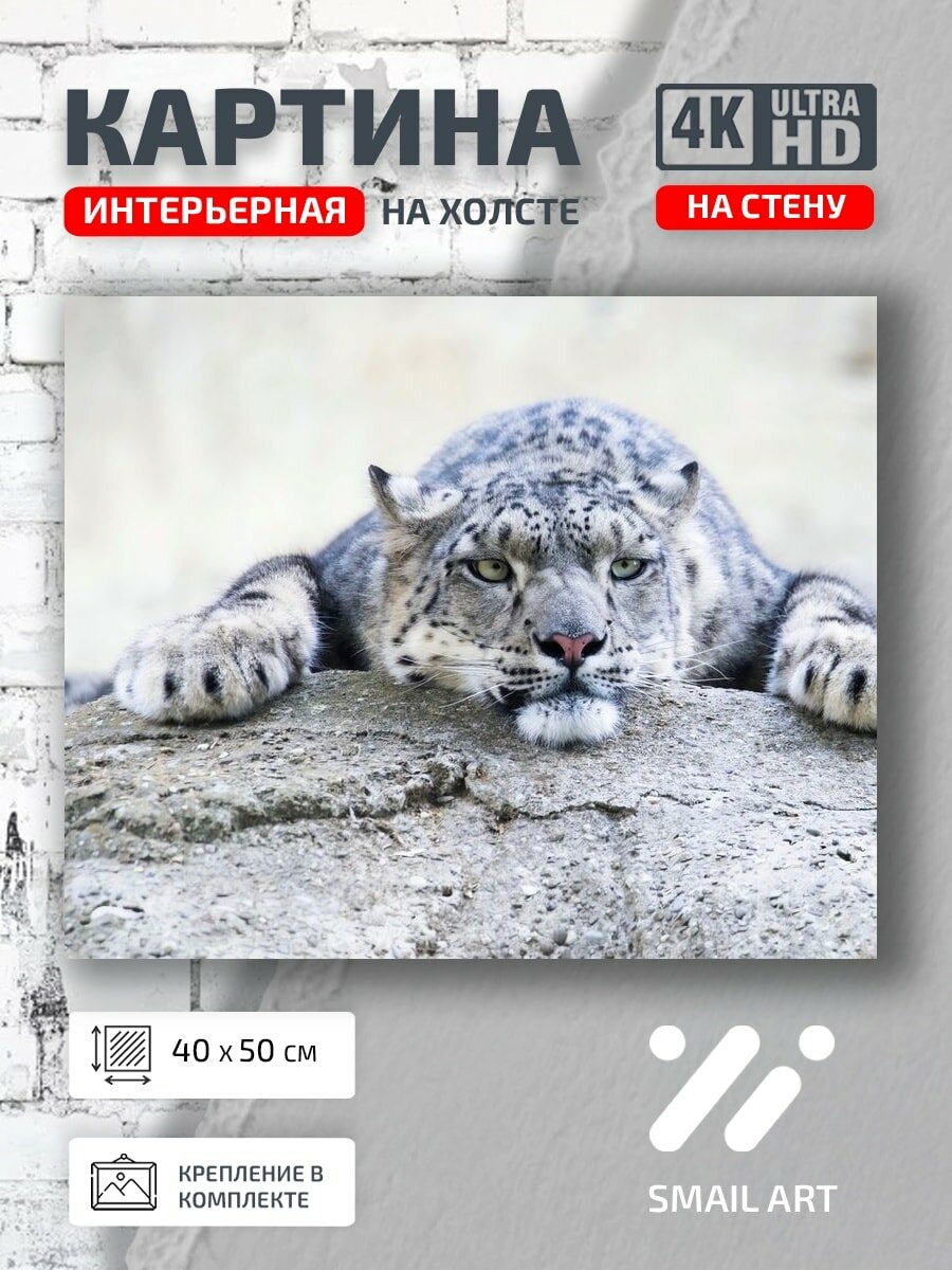 Картина на холсте интерьерная 40 на 50 на стену снежный барс для спальни атмосфера