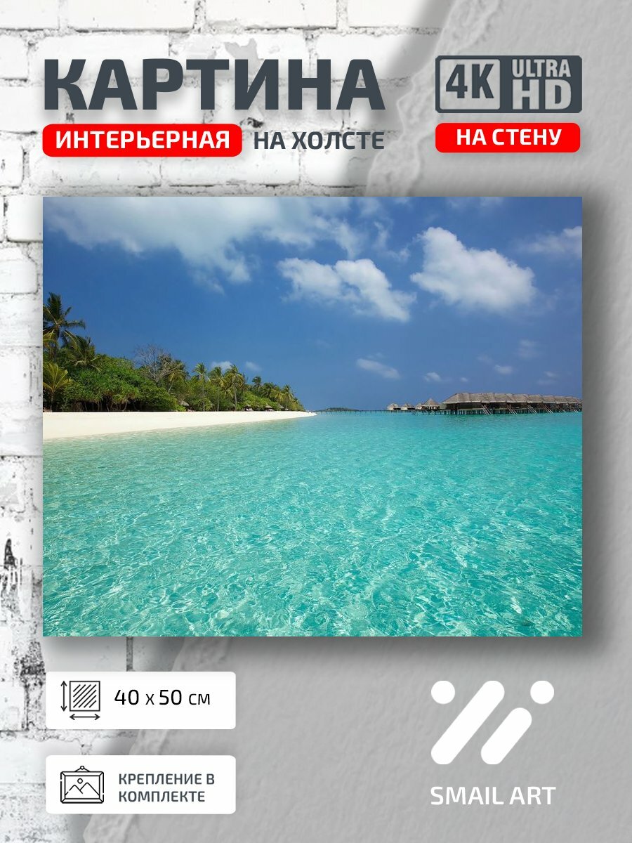 Картина на холсте интерьерная 40 на 50 на стену Берег maldives для кабинета пейзаж интерьер
