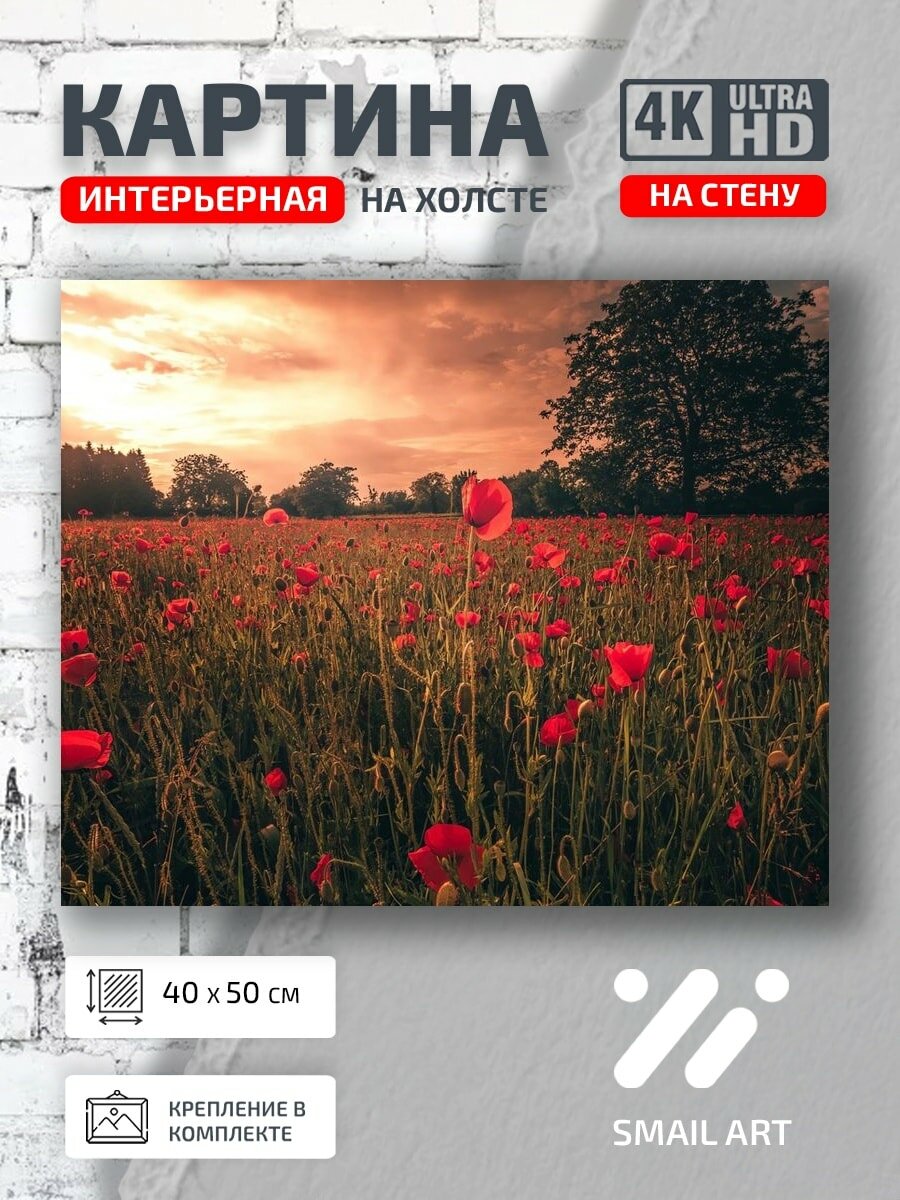 Картина на холсте интерьерная 40 на 50 на стену маковое поле для гостиной атмосфера