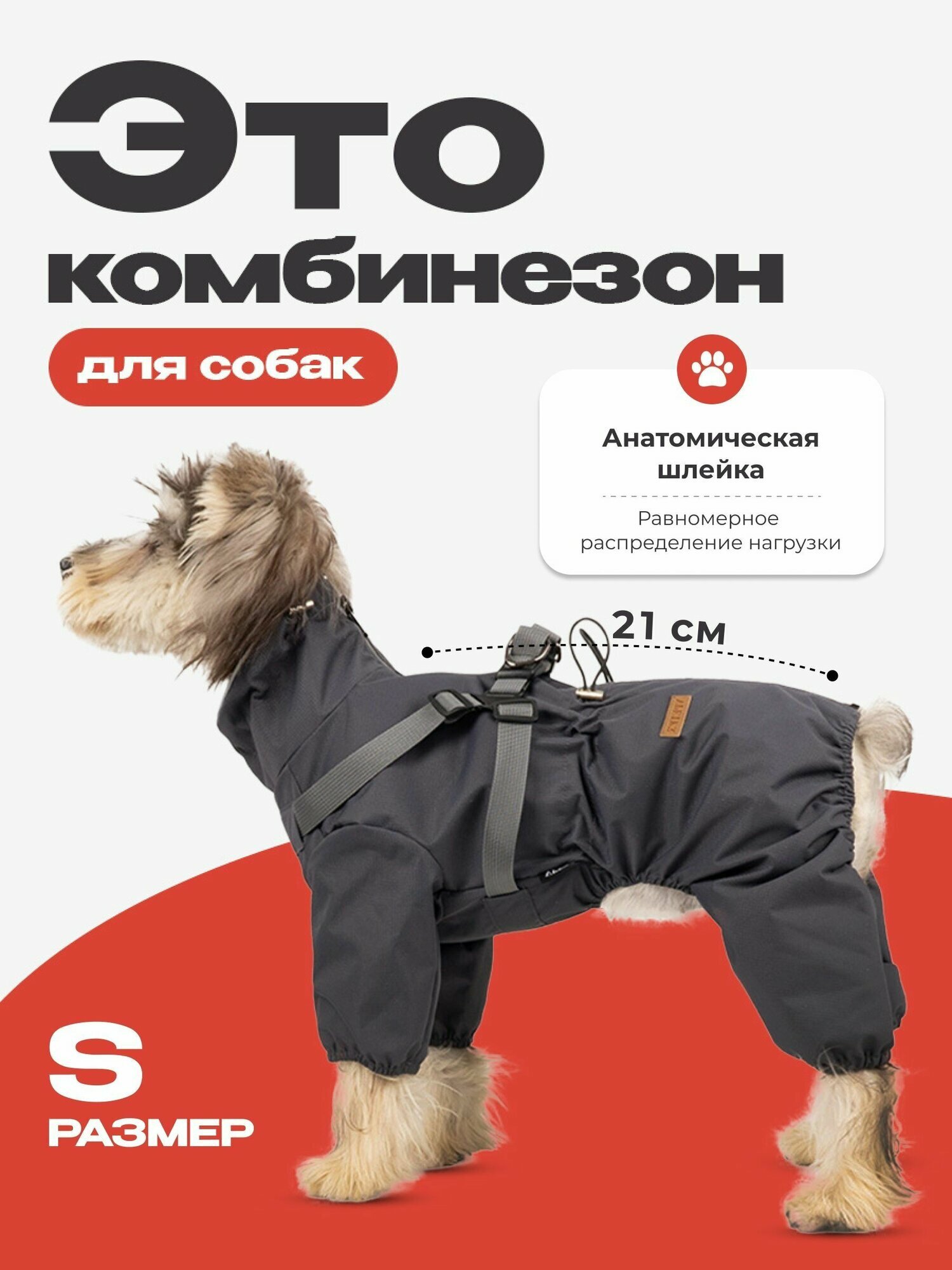 Одежда для животных S