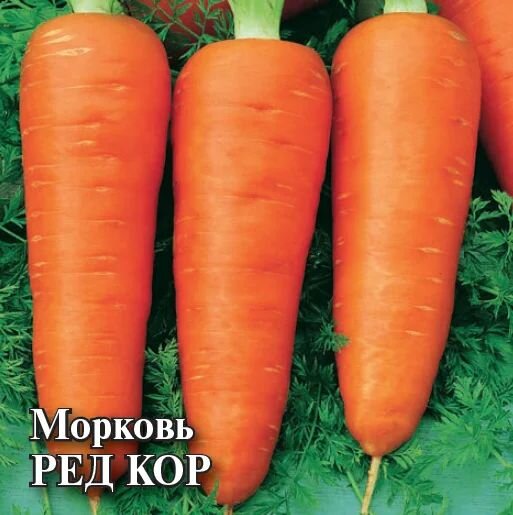 Коллекционные семена моркови Ред Кор