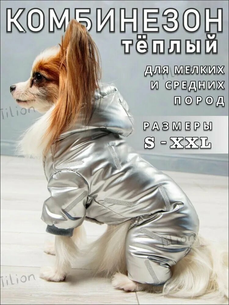 Одежда для животных