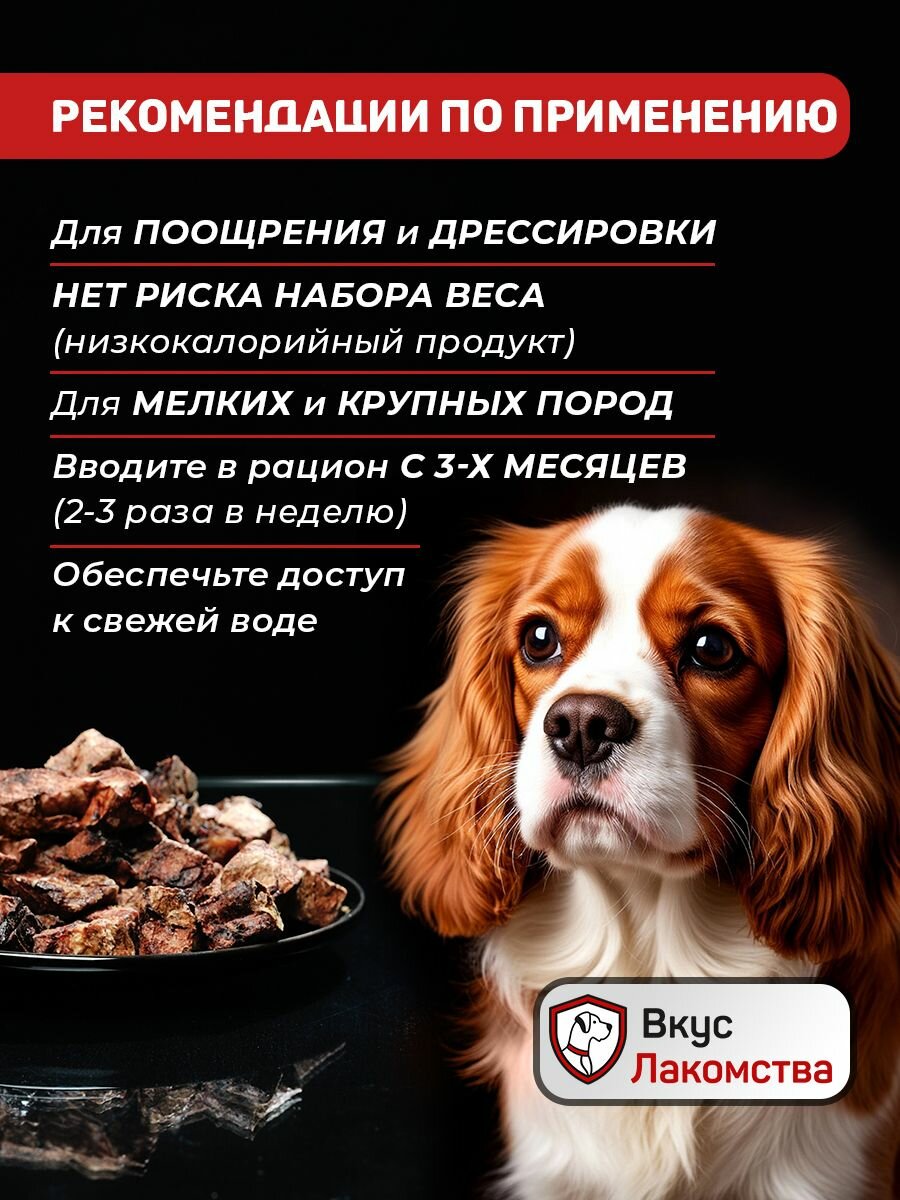 Говяжье лёгкое — фото 1