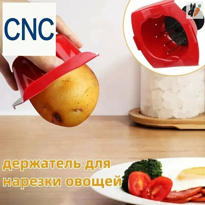 Плододержатель