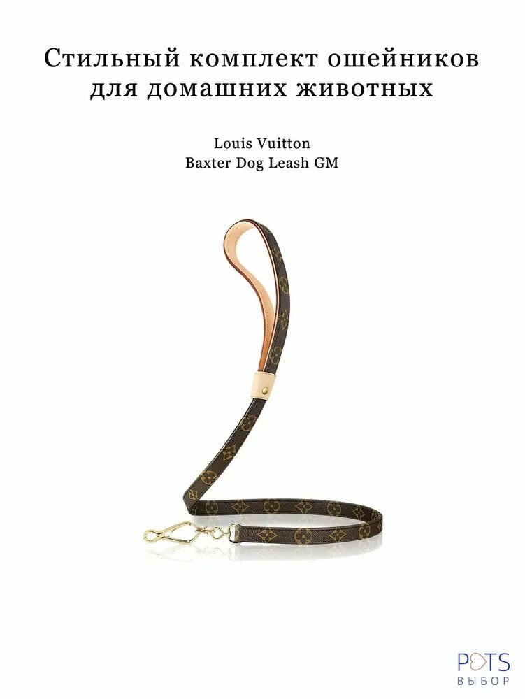 Стильный комплект ошейников для домашних животных Louis Vuitton Baxter dog collar set
