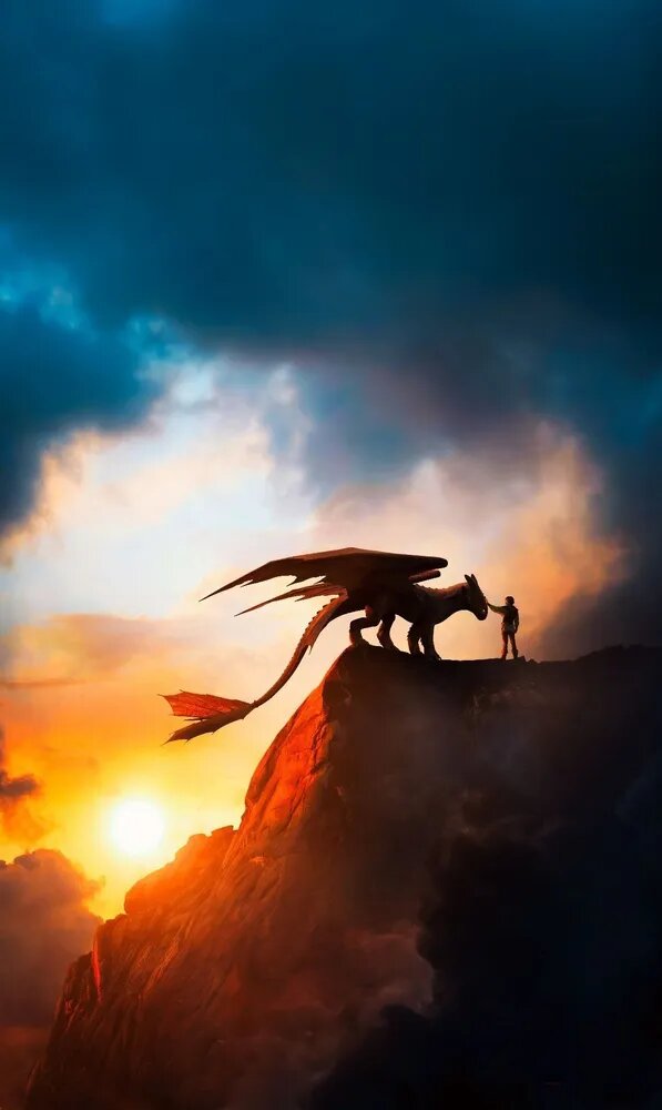 Алмазная Мозаика " Как Приручить Своего Дракона " 40X50 См Алмазная Вышивка / Украшения