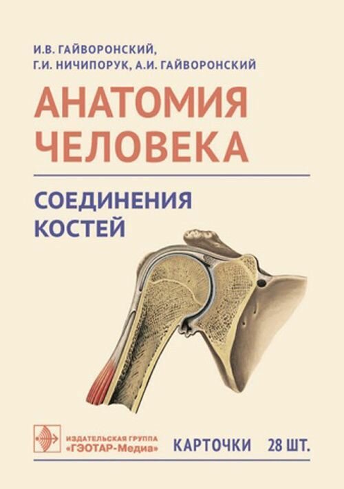 Анатомия человека. Соединения костей. Карточки : наглядное учебное пособие / И. В. Гайворонский, Г.