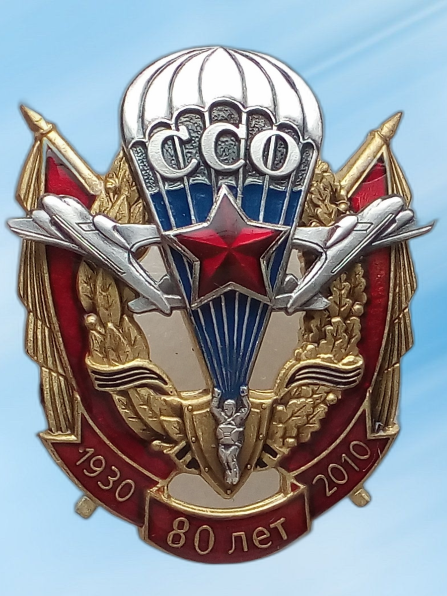 Знак 80 лет ССО Республики Беларусь, 2010 г.