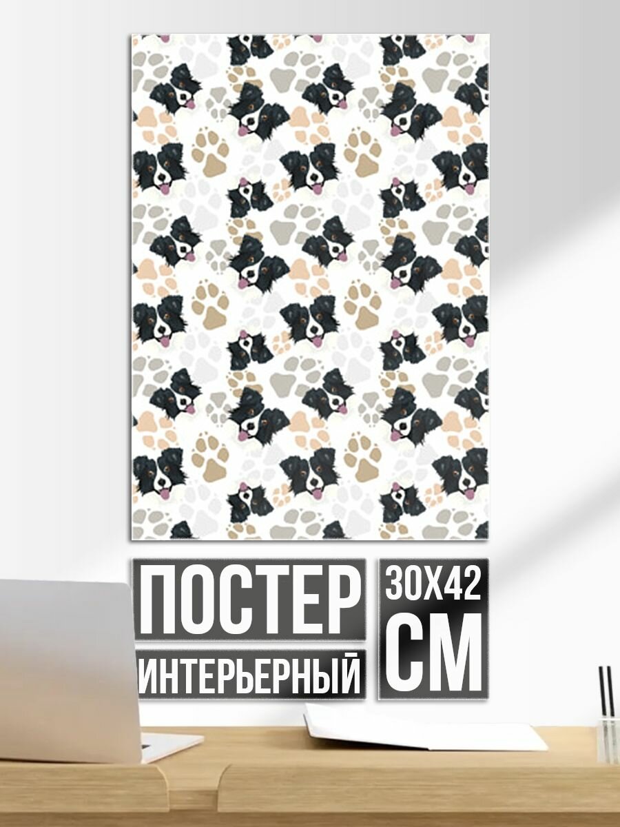 Постер на стену Бордер Колли