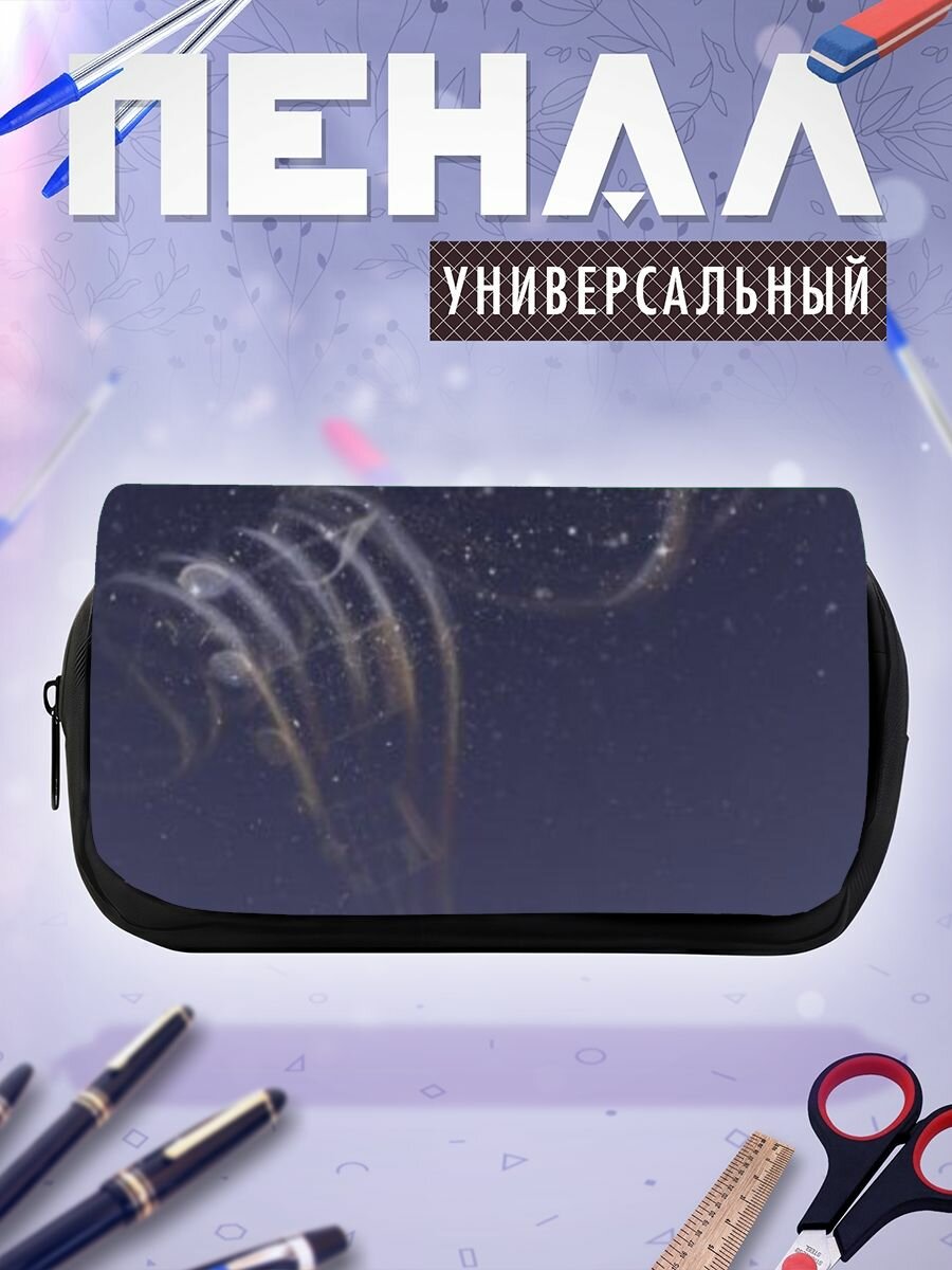 Школьный пенал скрипка wisgoon
