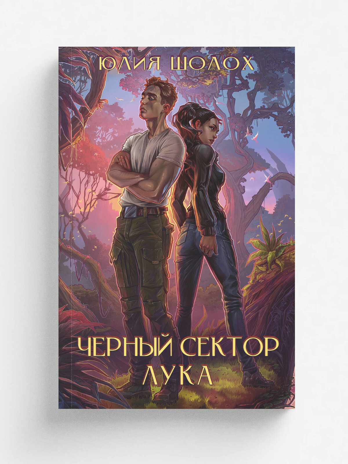 Чёрный сектор. Лука