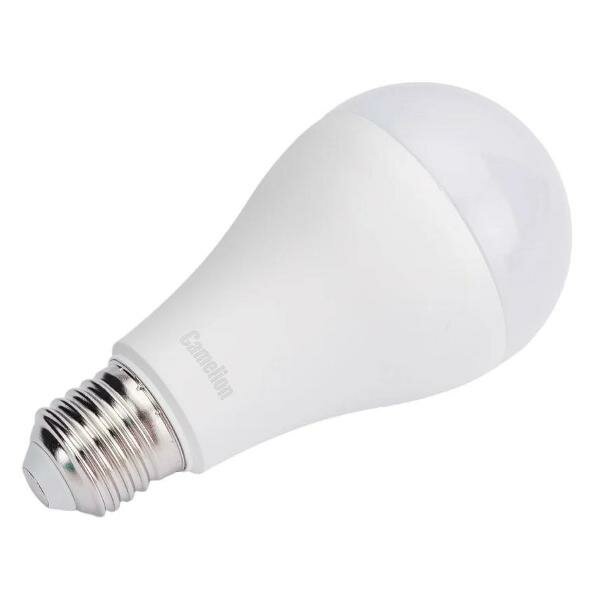 Лампа Camelion LED20-A65/865/E27 (10 шт.)