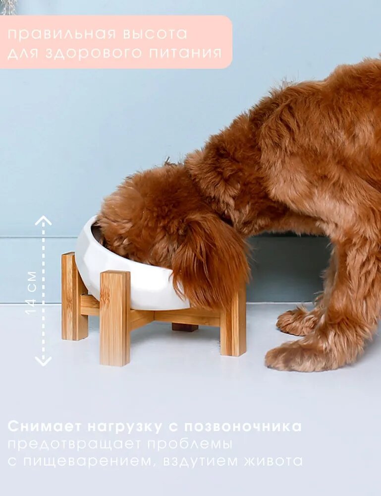 Миска для животных — фото 1