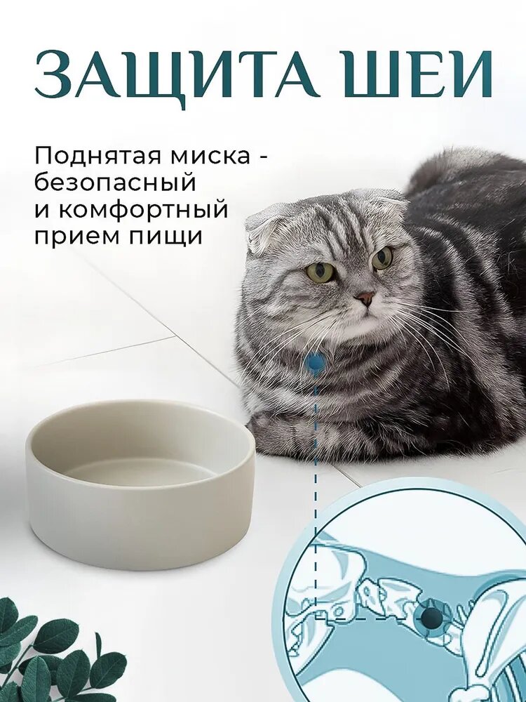 Миска для кошек и собак — фото 1