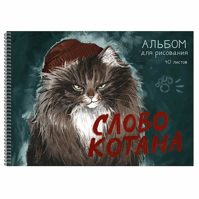 Альбом для рисования Канц-Эксмо "Слово котана", 40 листов, гребень