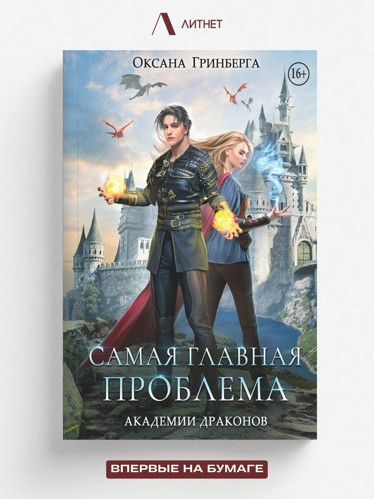Самая главная проблема Академии Драконов