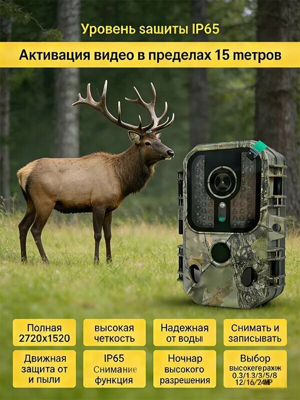 Фотоловушка