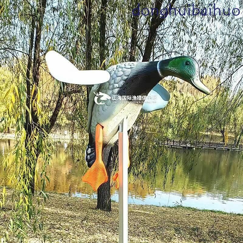 Чучело. Утка — фото 1