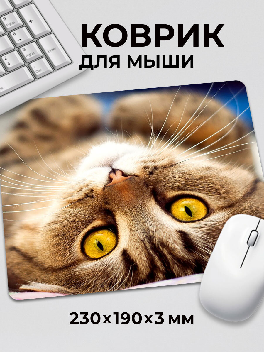Коврик для мышки Красивая кошка лежит Кошечка Кот Котик c тканевой поверхностью, на нескользящем резиновом основании