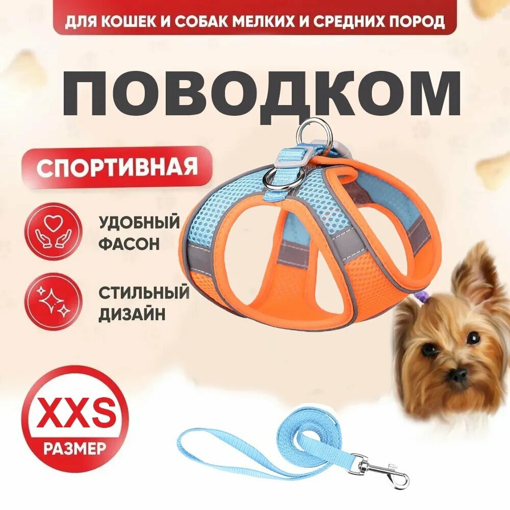 Шлейка для кошек с поводком XS, для кошек 3-4кг, шлейка для собак мелких пород