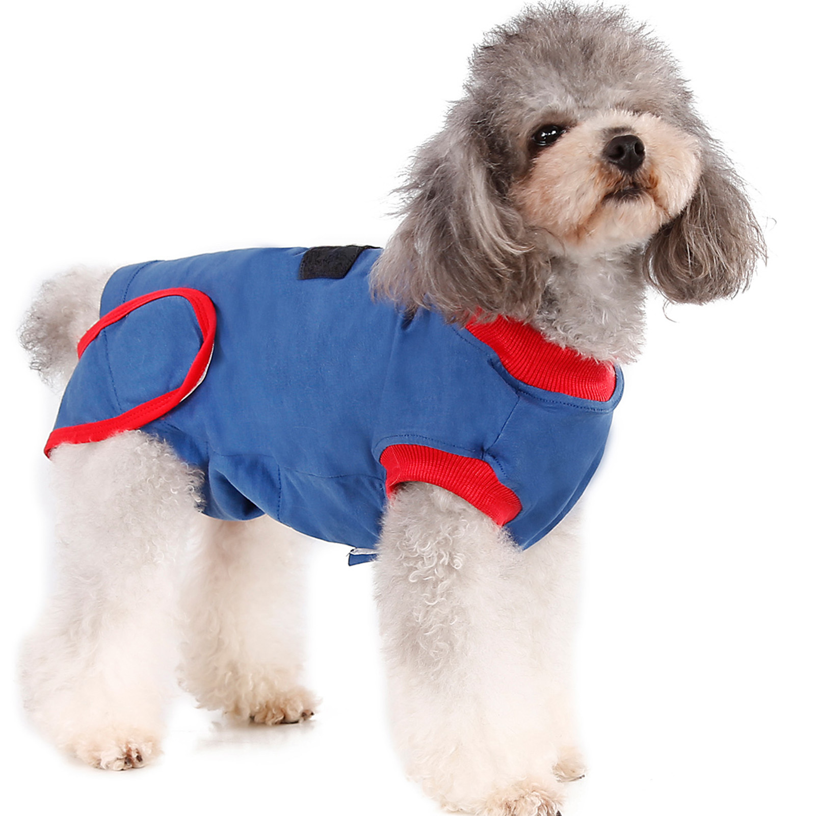 Размер Одежды: Подробная Таблица Размеров И Руководство По Измерениям Для Идеальной Посадки - Защита Живота После Операции С Комфортом И Без Конуса Для Собак