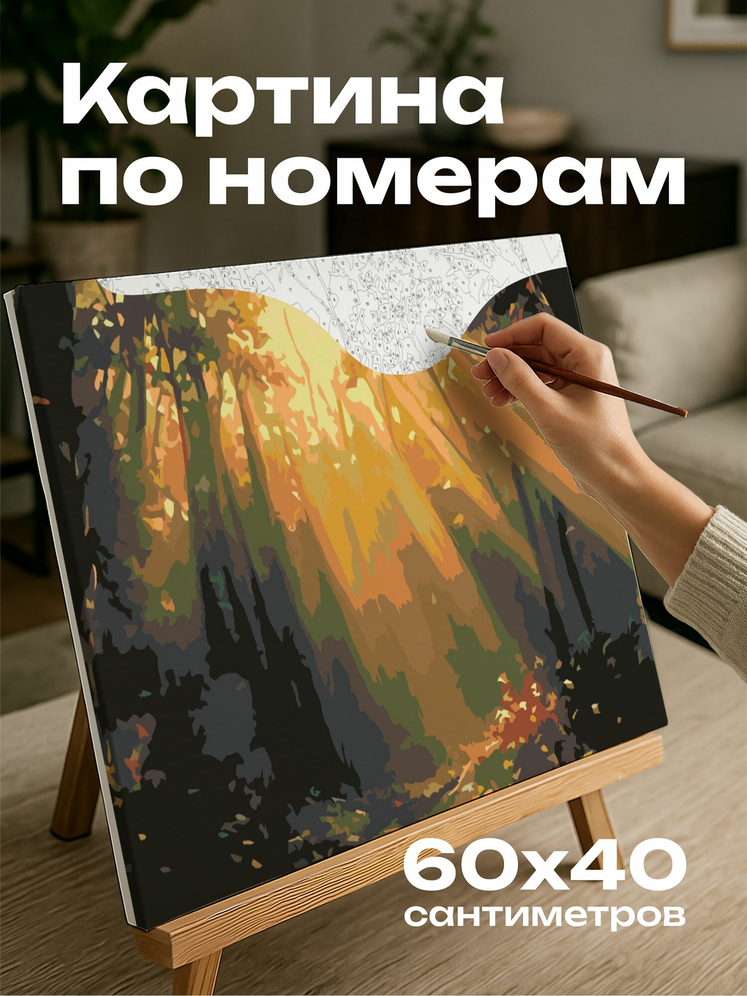 Картина по номерам 60x40 см, Карликовый лес, поляна, золотистый свет, тени, масляная картина, игра света