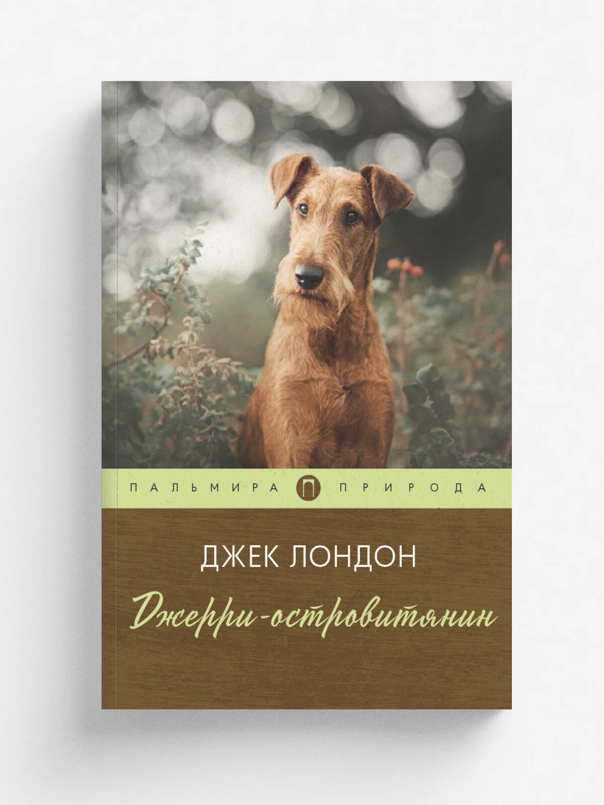 Джерри-островитянин