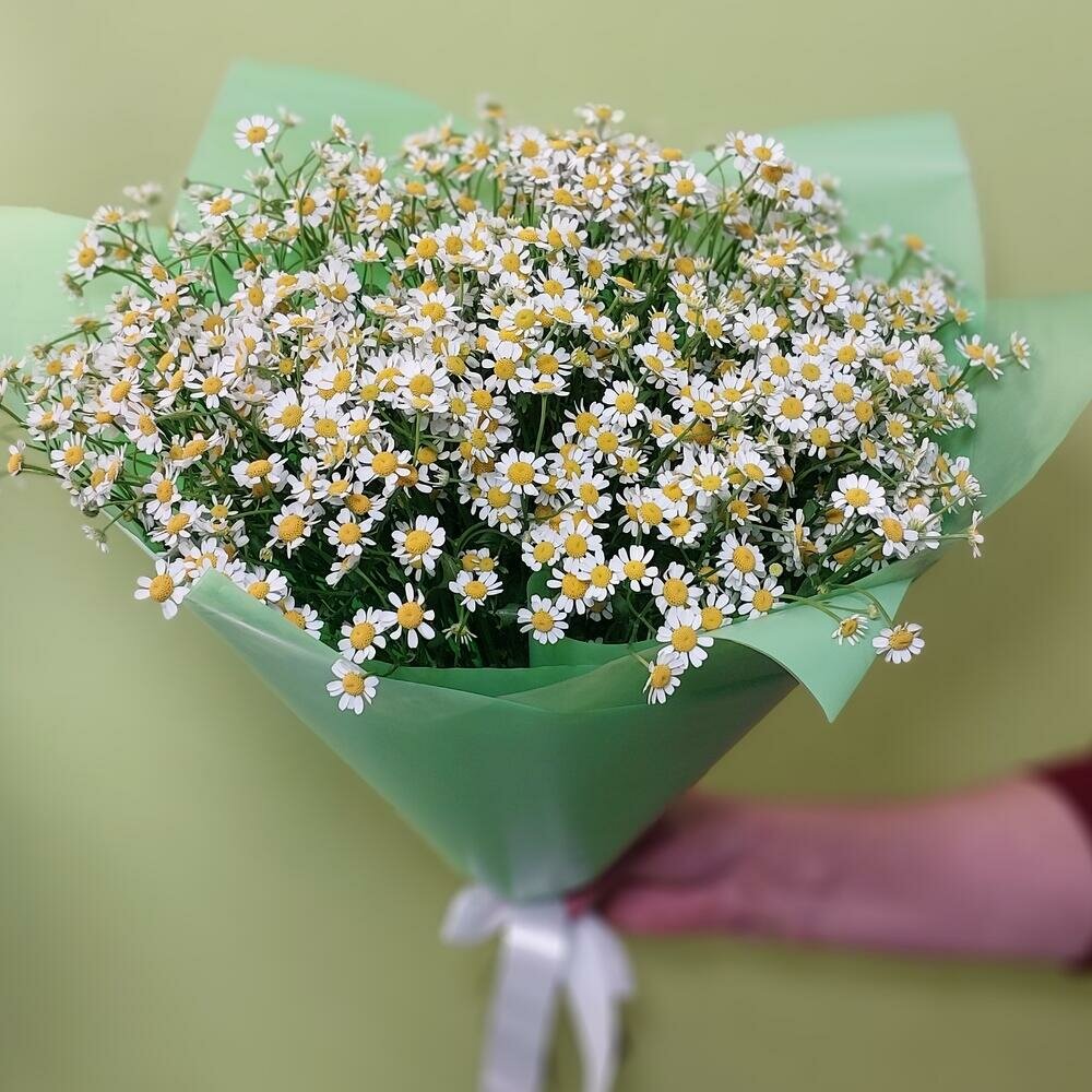 Букет "Ароматные ромашки", в дизайнерской упаковке, высота 50см