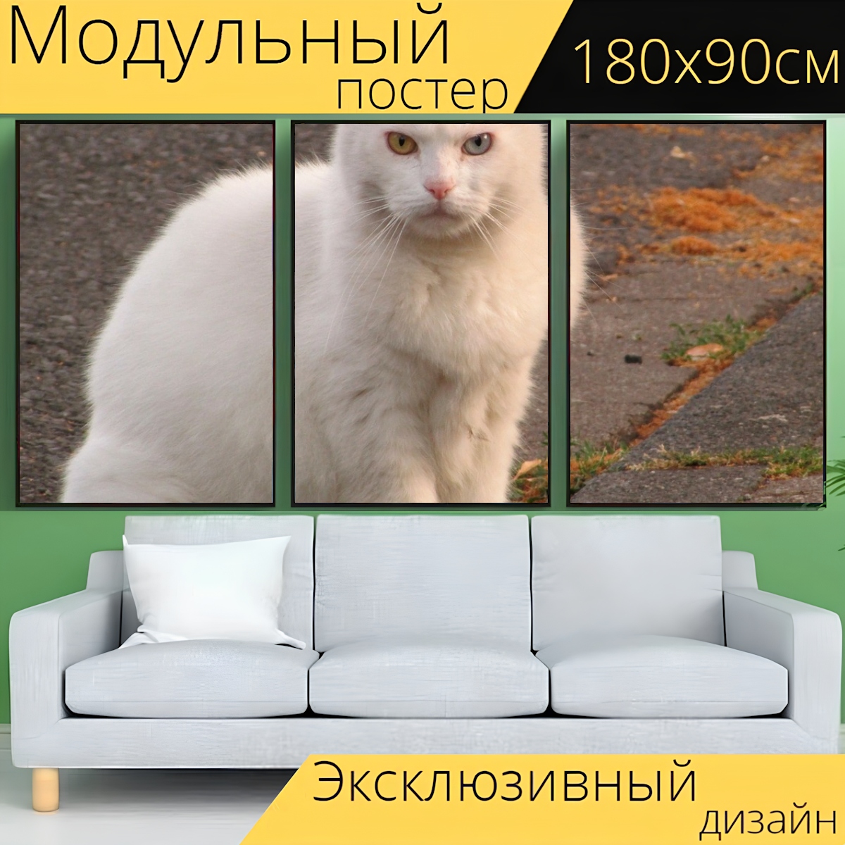 Модульный постер "Кот, домашняя кошка, белый кот" 180 x 90 см. для интерьера на стену в тубусе