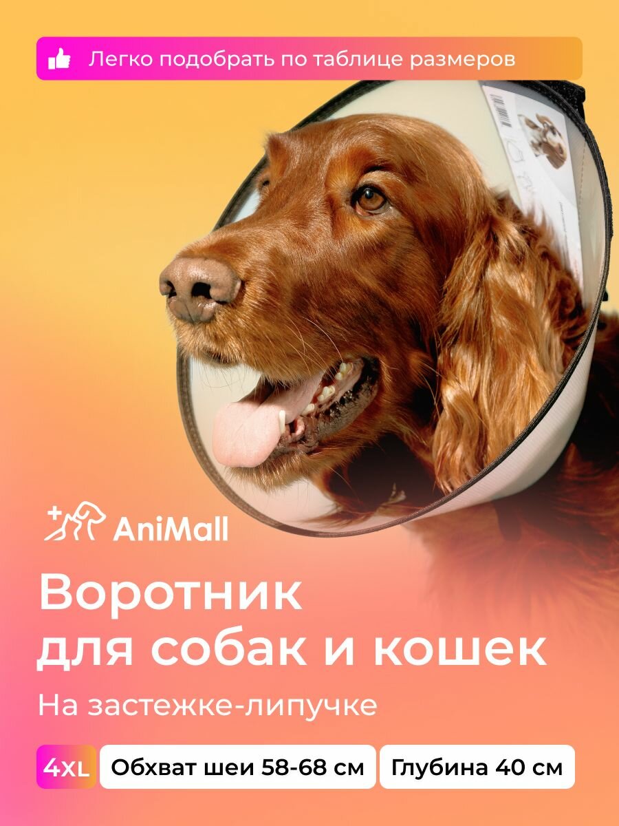 Воротник защитный ветеринарный для собак и кошек № 40 см, на липучке для крупных пород / AniMall ошейник липучка