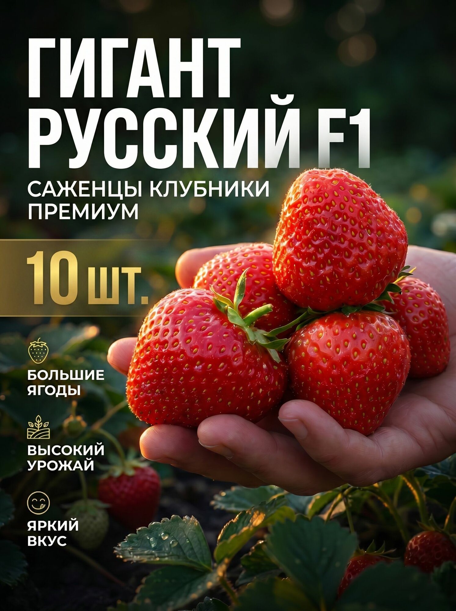 Саженцы клубники Русский гигант F1 10-штук