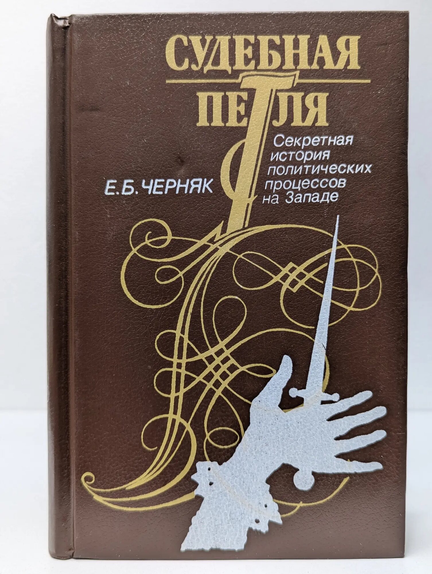 Судебная петля. Секретная история политических процессов на Западе Черняк Ефим Борисович 1991