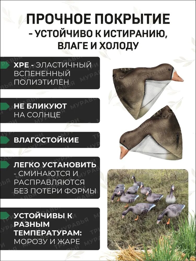 Чучело — фото 1