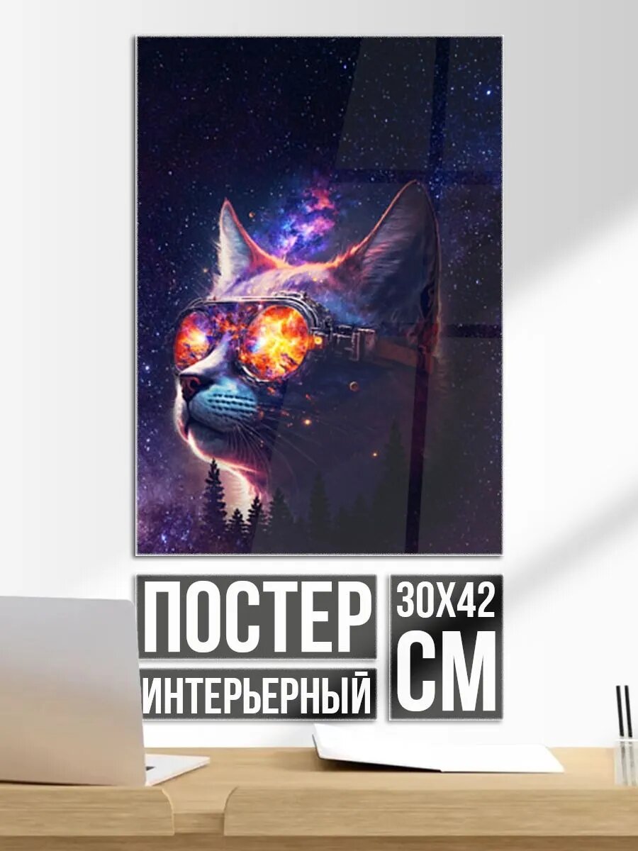 Постер на стену Кот в очках в космосе