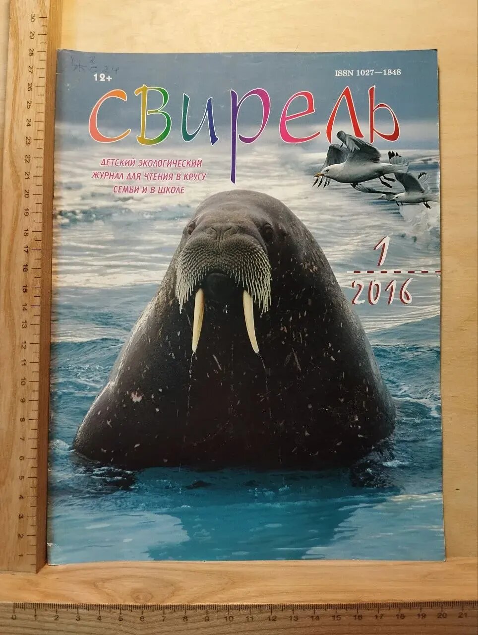 Журнал "Свирель". №1 (243), январь 2016