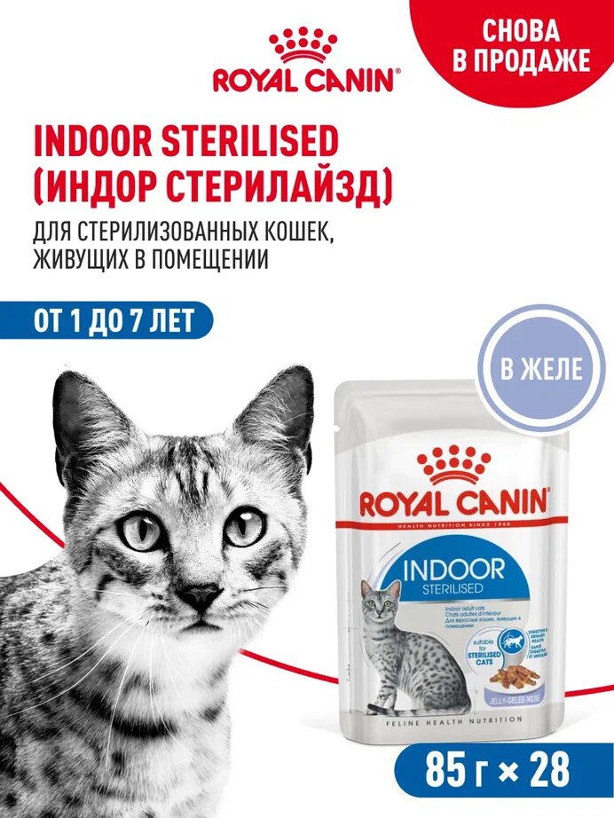 Влажный корм для стерилизованных кошек Royal Canin Indoor Sterilised, для домашних, кусочки в желе, 28 шт по 85 г