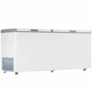 Морозильный ларь FROSTOR F700SD