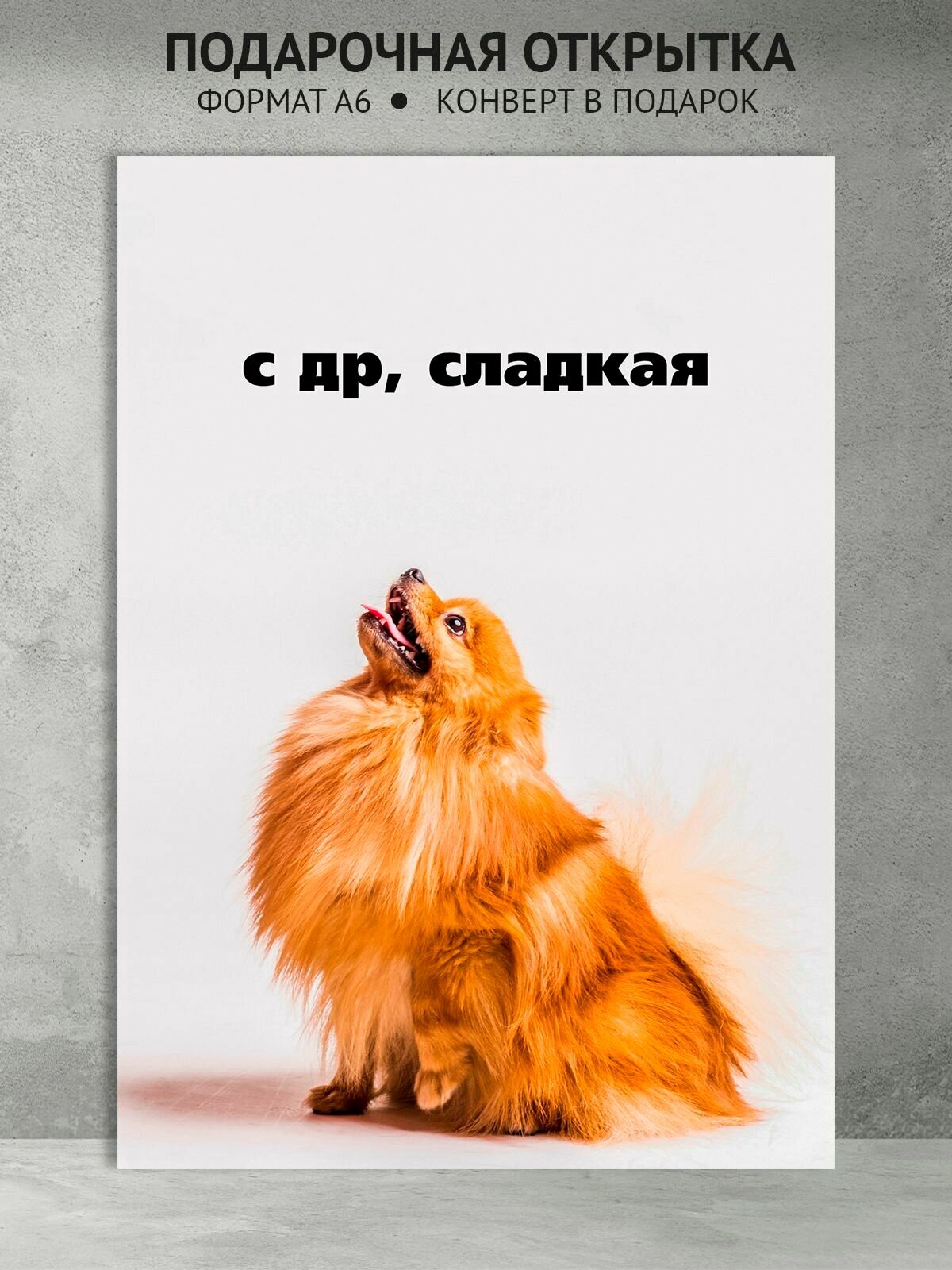 Подарочная открытка с уникальной иллюстрацией шпиц "С др, сладкая" с днем рождения, с юбилеем, без повода