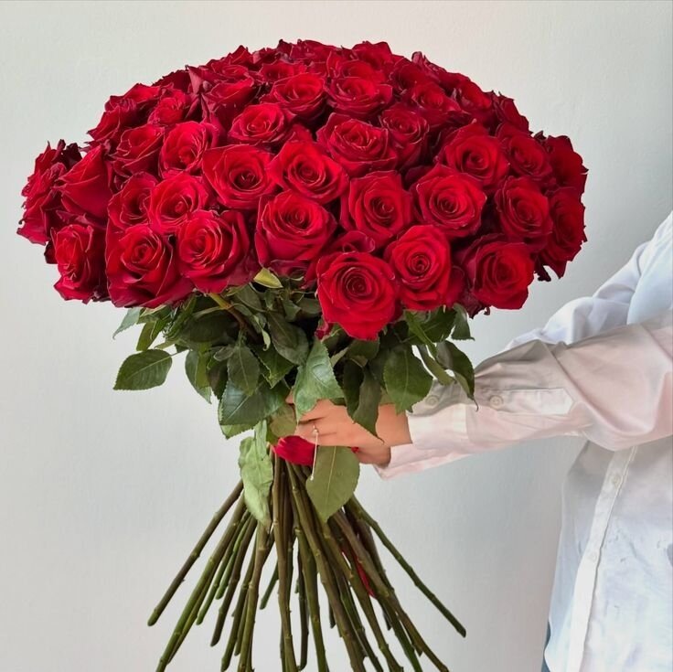 Букет из красных роз 51 шт, красивый букет цветов, шикарный, премиум цветы, премиум букет