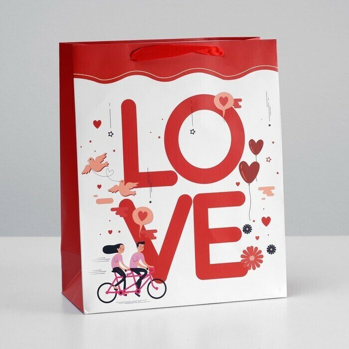 !09 Пакет (набор 4 штуки) ламинированный 26 x 32 x 12 см.