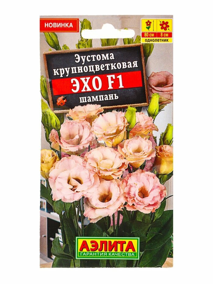 Семена цветов Эустома Эхо F1 шампань крупноцветковая (драже