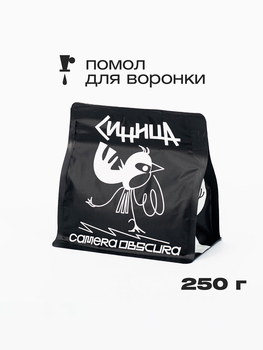 Синица, помол для воронки V60, фирменный кофе Camera Obscura, 250г