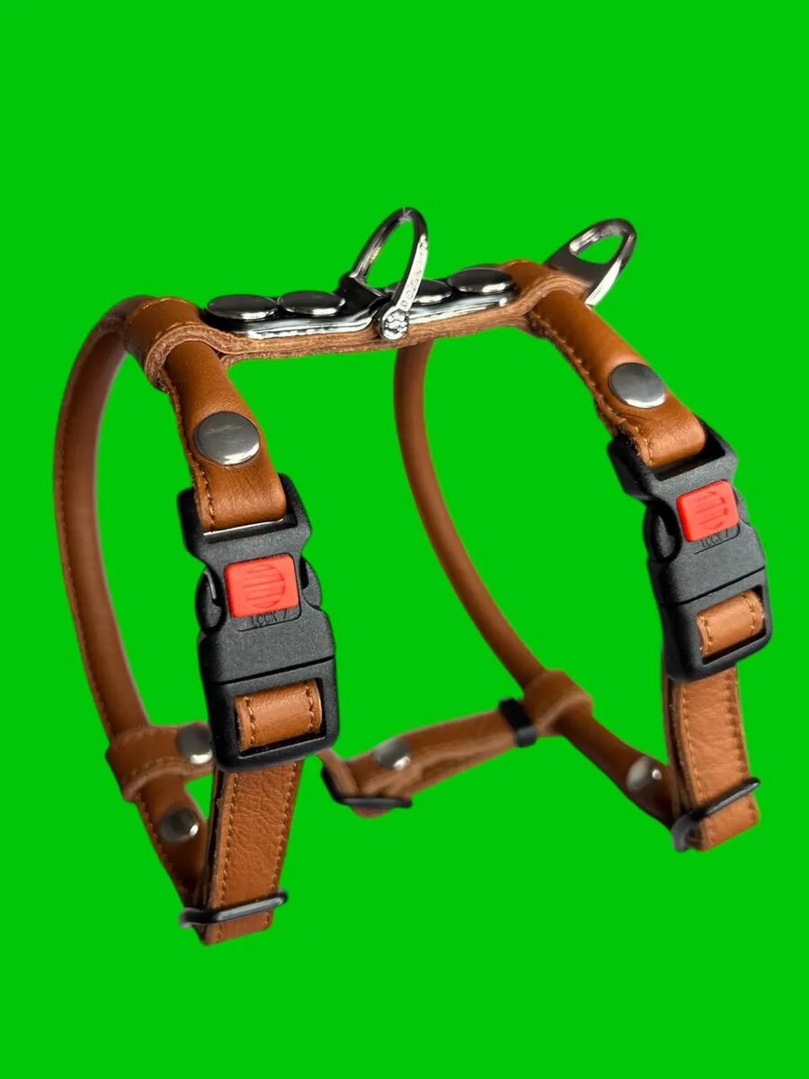 Шлейка Dogbond круглая для шпица из кожи