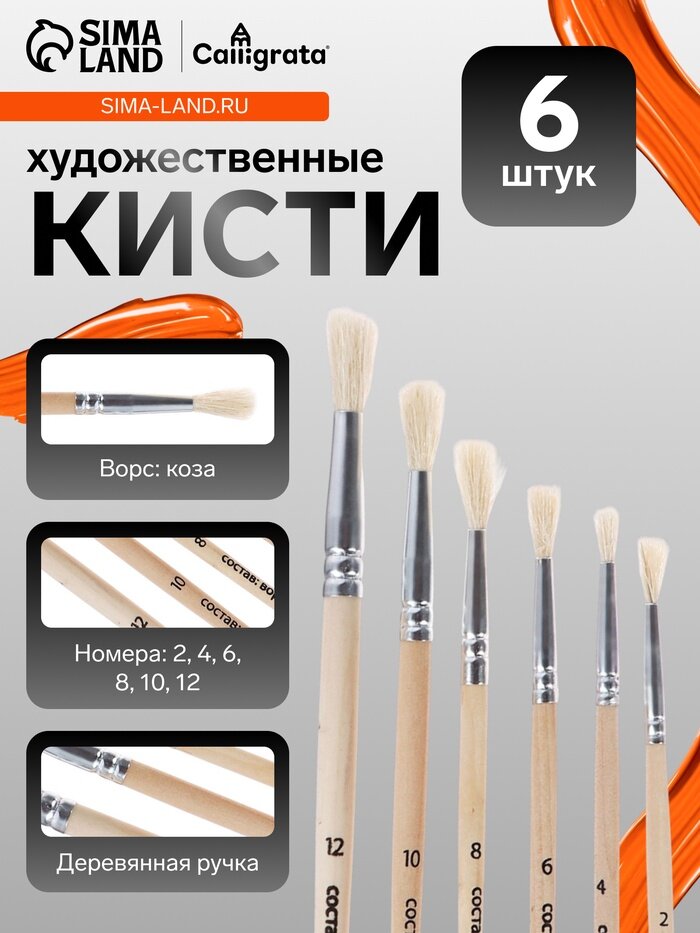 Кисти для рисования, коза, 6 штук: № 2, 4, 6, 8, 10, 12, круглые, деревянная ручка, международный размер