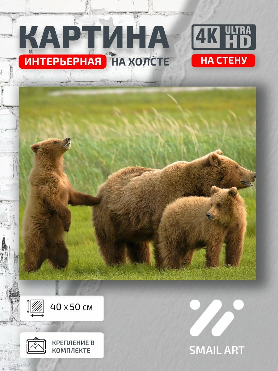 Картина на холсте интерьерная 40 на 50 на стену Прогулке Mood для кабинета атмосфера декор