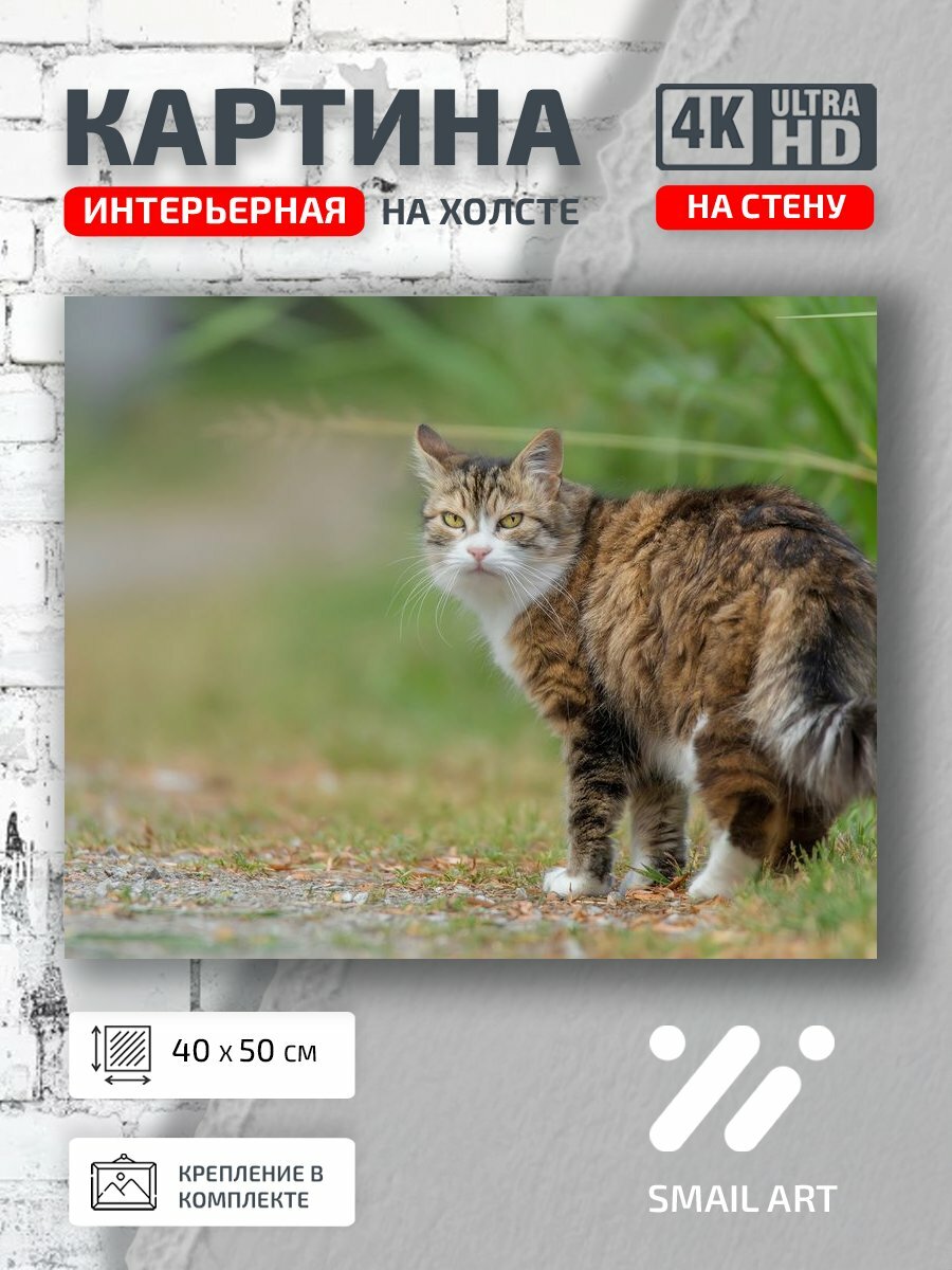 Картина на холсте интерьерная 40 на 50 на стену Кот Landscape для кабинета пейзаж интерьер