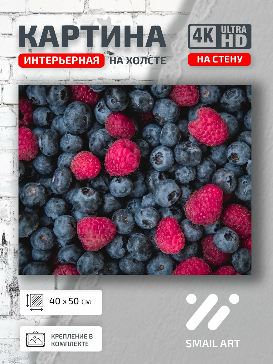 Картина на холсте интерьерная 40 на 50 на стену Малина Food для кухни кулинария интерьер