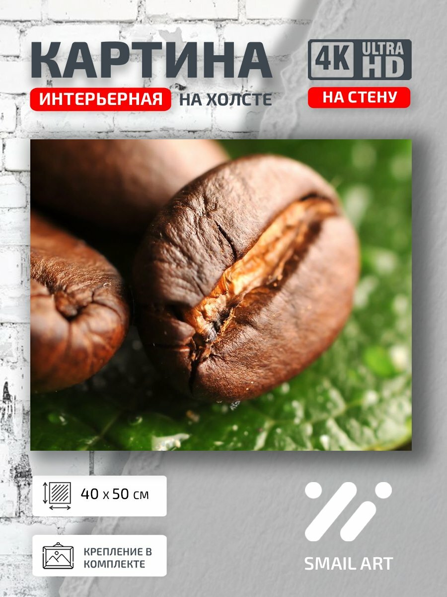 Картина на холсте интерьерная 40 на 50 на стену Зёрна macro для кафе кулинария интерьер